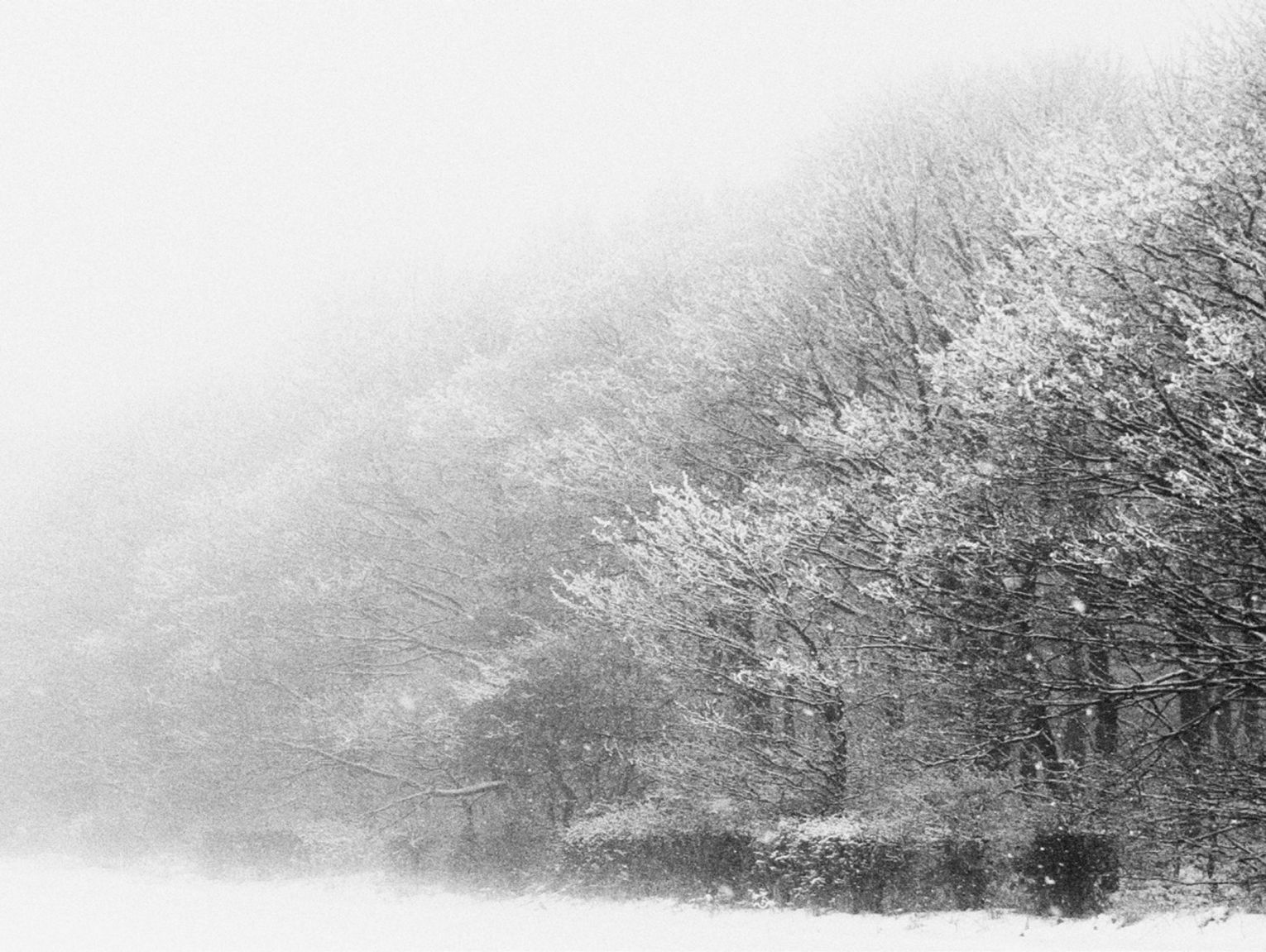 Winter Storm Closed Majority Of Highways